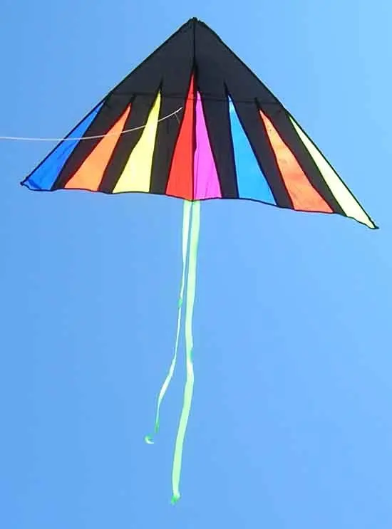 1piece kite single line kites flying Triangle kite hot sale kite free ...