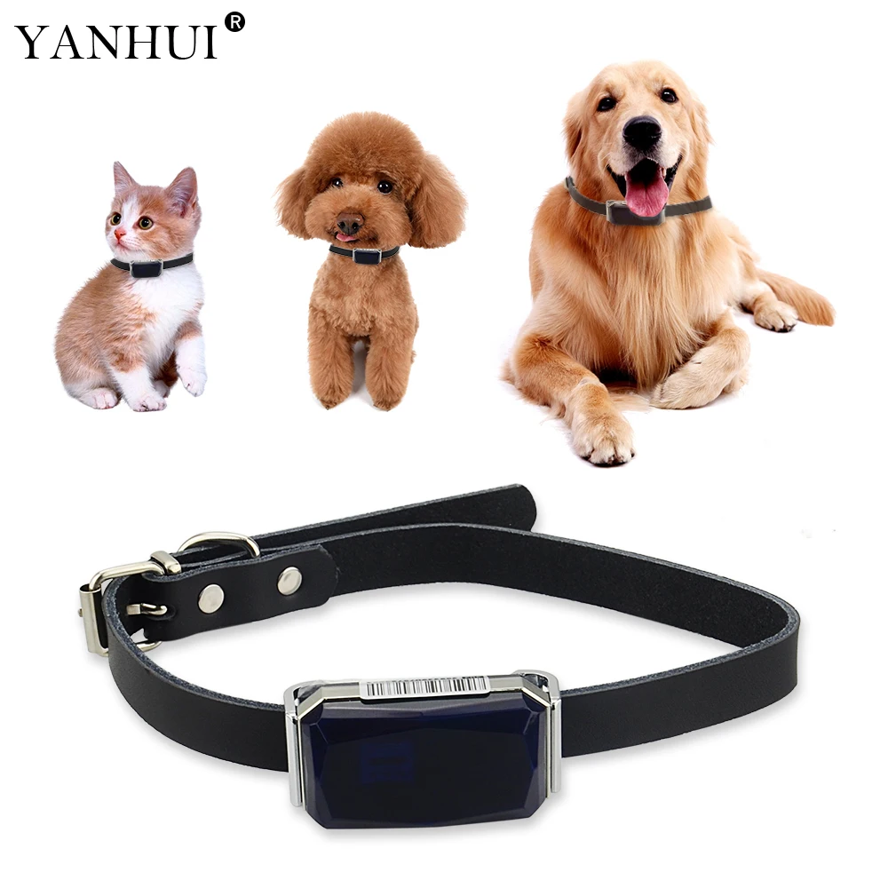 Rastreador GPS G12 IP67 para mascotas, localizador a prueba de agua ...