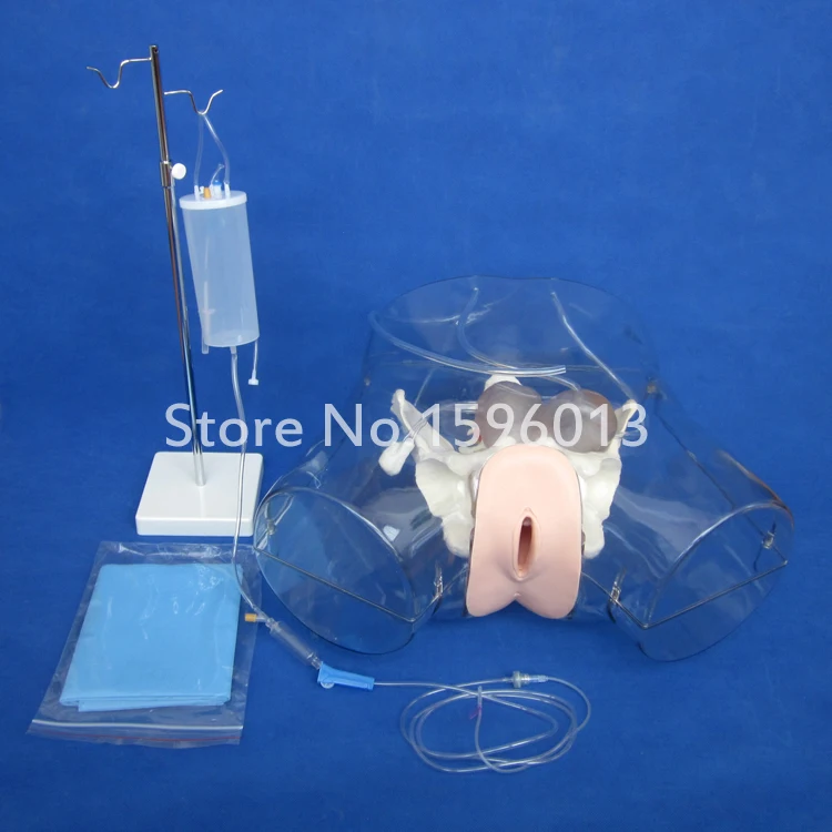 Curettage and Dilatation Training Simulator,Catheterization Simulator ...