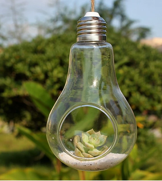 Hanging Light Bulb Vase