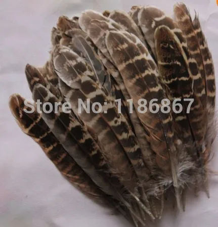 Free shipping 100pcs/lot natural pheasant tail feathers 4 6inch/10 15cm ...