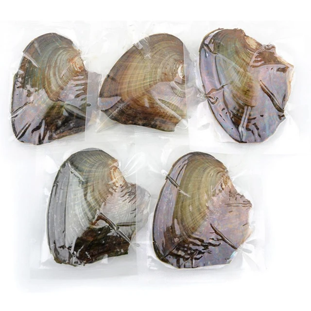 Freshwater Pearls In Shell