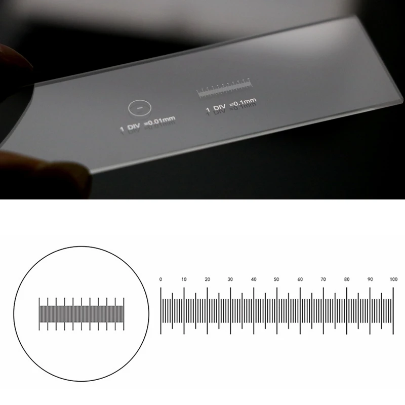 916 DIV 0.01mm Microscope Reticle Division of the Graticule Calibrate ...