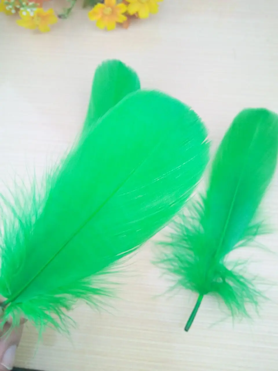 New! Wholesale Grass green 20 pc quality natural goose feathers, 5 ...