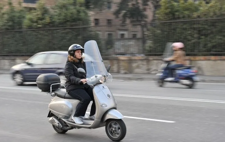 Universal Moped Windshield
