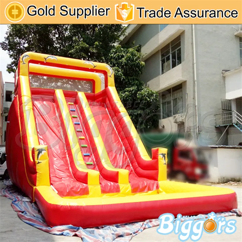 Inflatable Biggors Dolphin Water Slide With Spray Swimming Pool Water ...