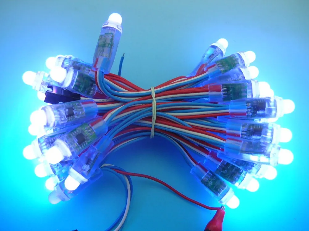 DC12V input 12mm WS2811 pixel node,50pcs a string,IP68 rated|12mm ...