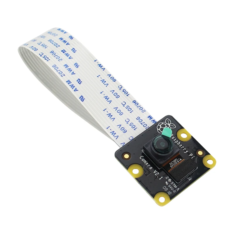 Buy RS Raspberry Pi NoIR Camera V2 8MP Night vision Official in Egypt ...