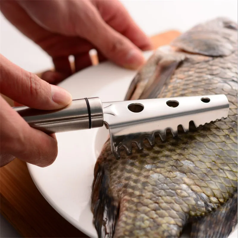 Cleaning Fish Skin Kitchen Tools Stainless Steel Fish Scraper Brush ...