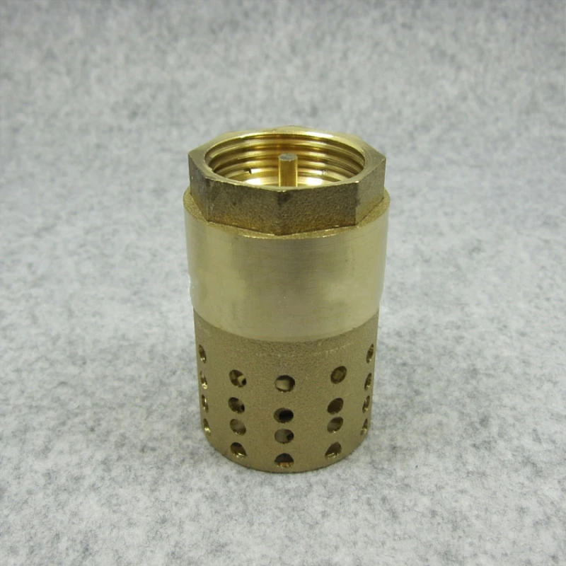 Dn25 1' Brass Vertical Check Valve Bottom Hole Valve Check Valve ...