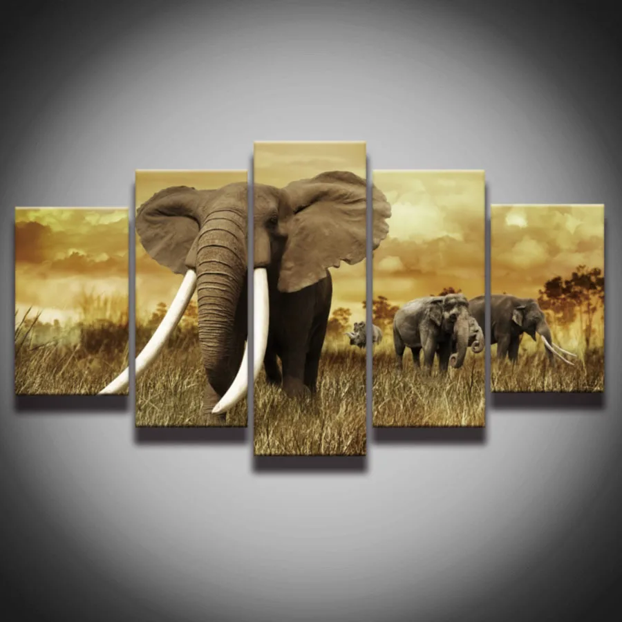 Printed African elephant picture hang painting canvas art frames 5 ...