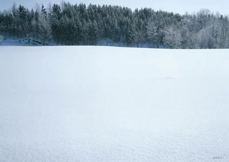 1(W)x1.5(H)m Free Shipping Snow Ground Photo Background Cool Snow Trees ...