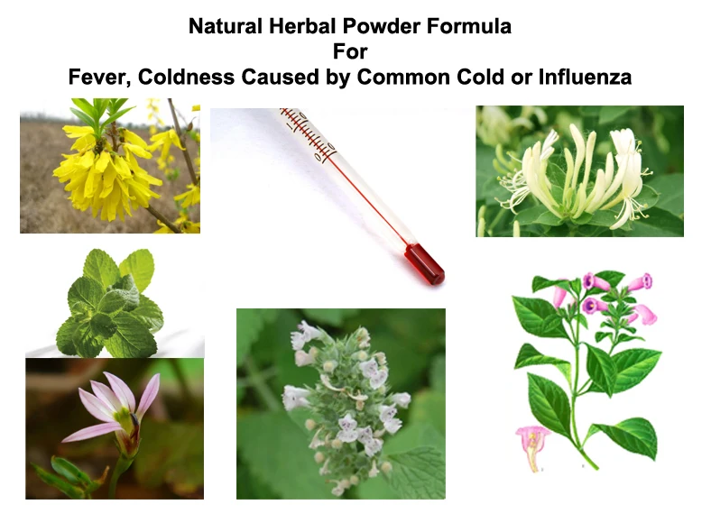 Natural Herbal Powder Formula For Cure Fever, Coldness Caused by Common ...