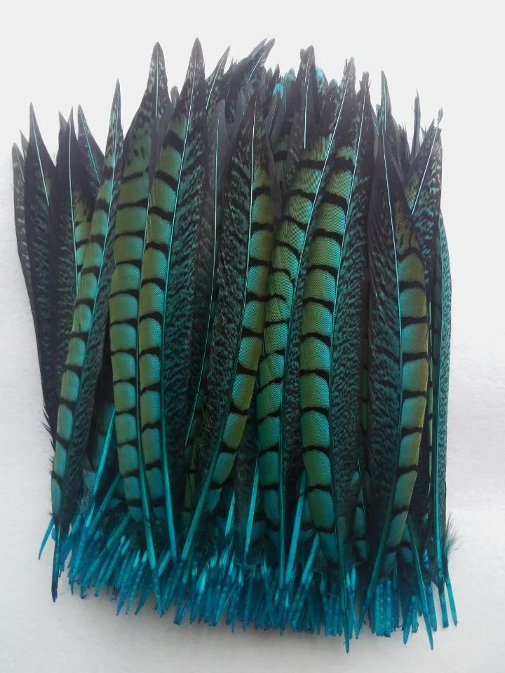 ¡Venta al por mayor! hermosa pluma de faisán azul 50/lote 9 11 pulgadas ...