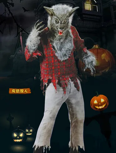 Little Red Riding Hood And Wolf Costume Adult