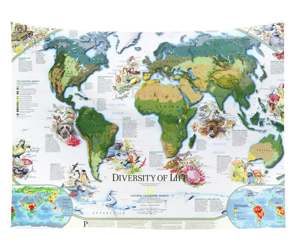 Cilected New World Map Tapestry Bedroom Decorative Polyester Fabric