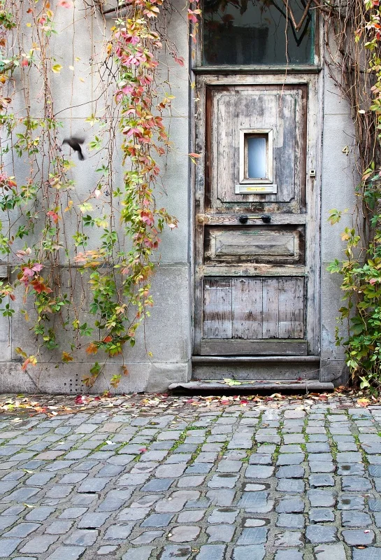 Laeacco Old Wooden House Door Brick Floor Scenic Photo Backgrounds ...