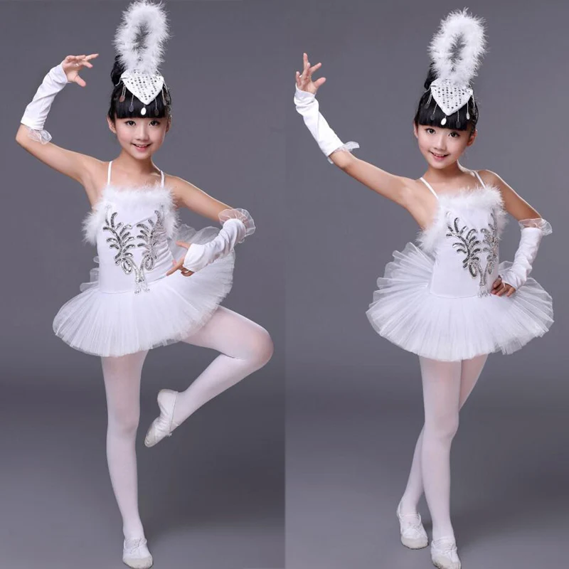 Swan Lake Costume