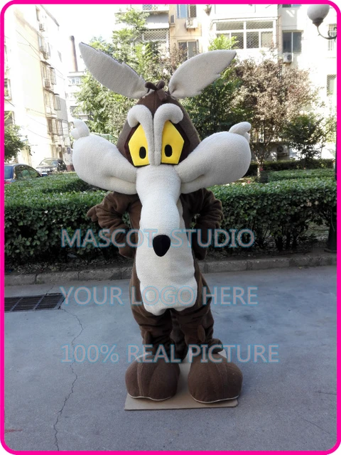 Roadrunner And Coyote Costumes