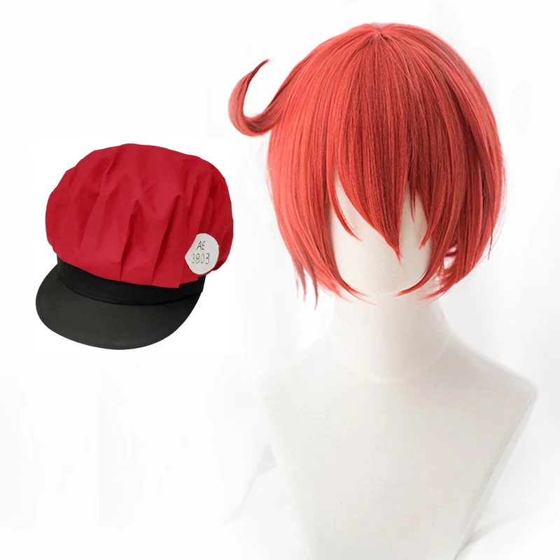 Anime Cells At Work Erythrocyte Red Blood Cell Sekkekkyu Red Cosplay ...
