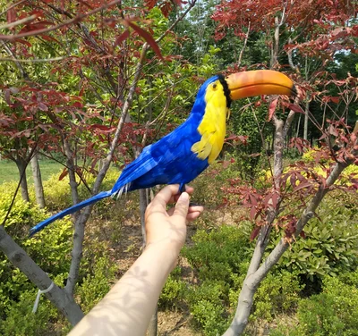 Beautiful Blue Feathers Toucan Artificial Bird About 43cm Feathers Bird ...