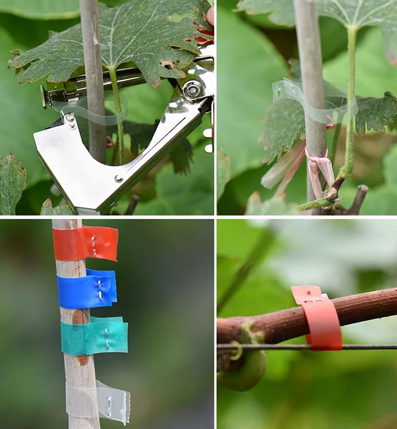 Sécateur à Crémaillère,Bande adhésive en muscadine,branche de concombre ...