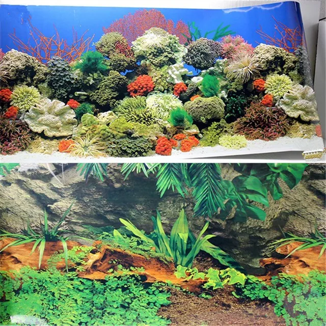 Aquarium Background Poster