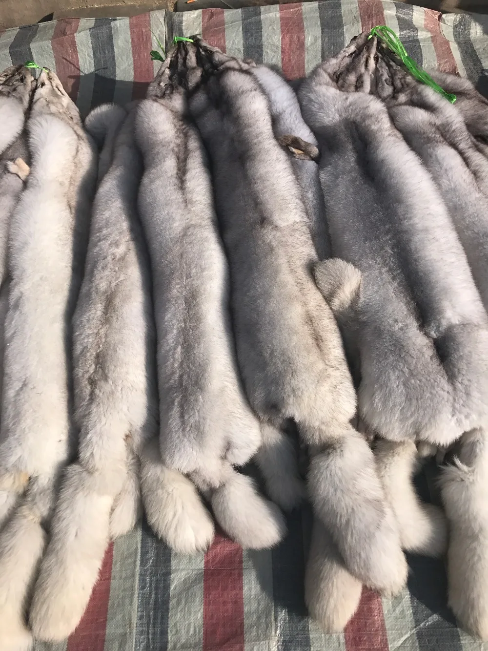 Aliexpress.com : Buy Fox skin/ Tanned fox skin/ Real Blue fox skin from ...