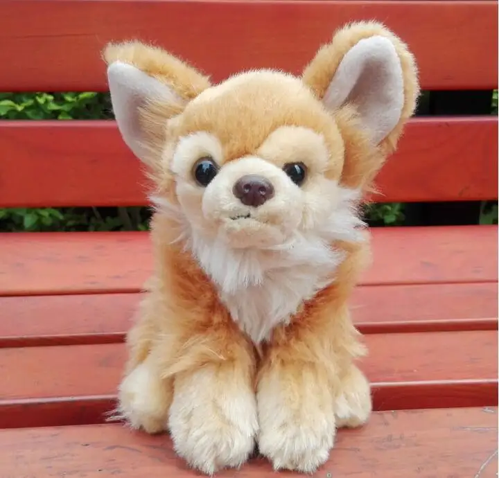 Online Buy Wholesale papillon dog from China papillon dog Wholesalers ...