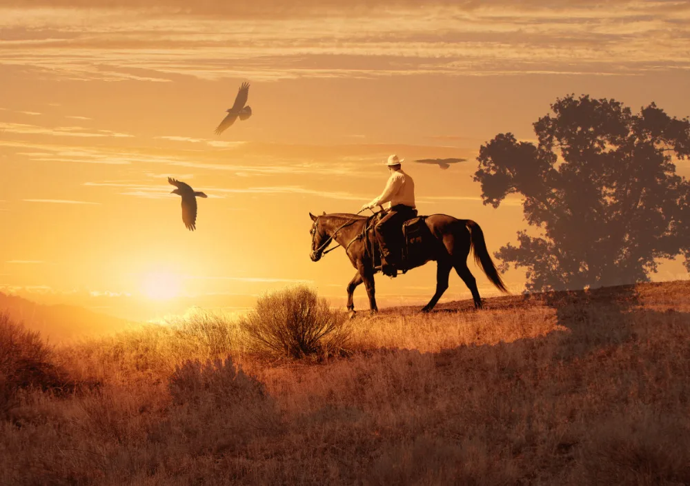 7x5ft Wild West Field Cowboy Horse Sunset Sky Custom Photography ...