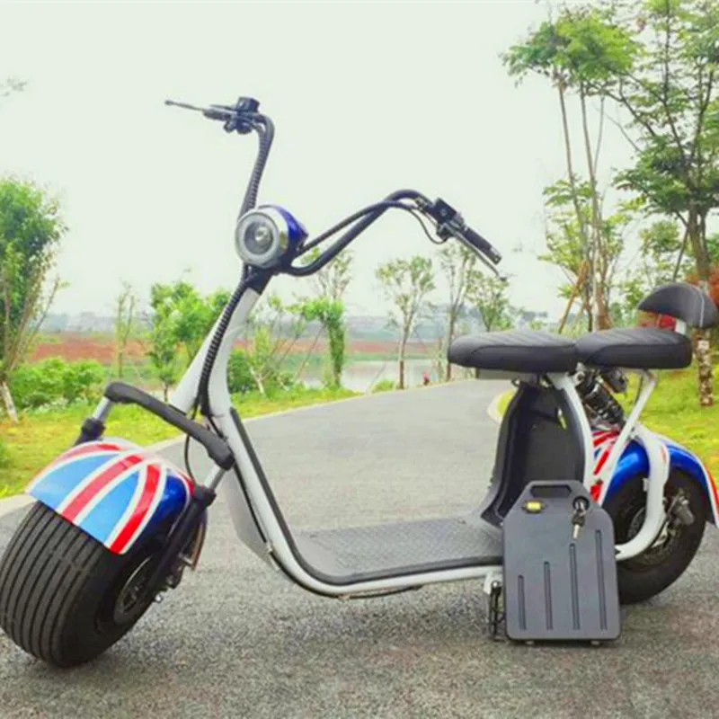 Big Wheel Electric Scooter with removable battery