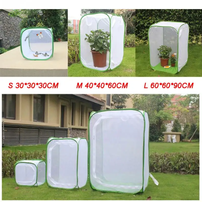 Butterfly Insect Habitat Cage Mesh Terrarium Butterfly Mantis Stick ...