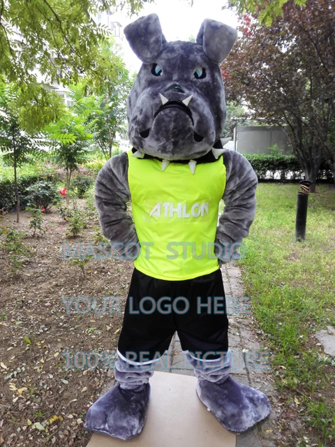 Bulldog Mascot Costume