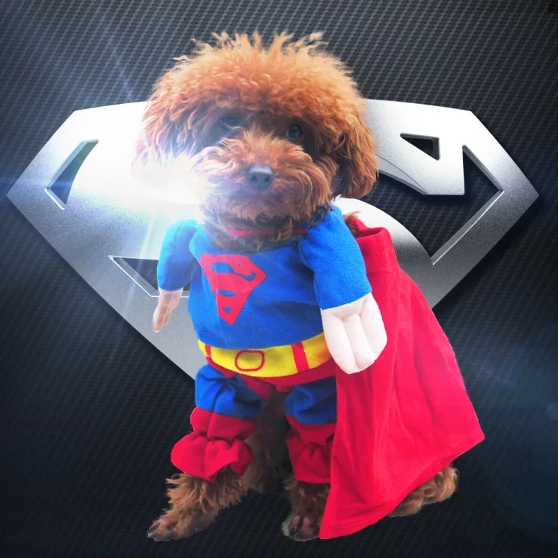 Fashion-Cute-Pets-Sets-Transfiguration-Clothes-Super-Hero-Cosplay-For ...