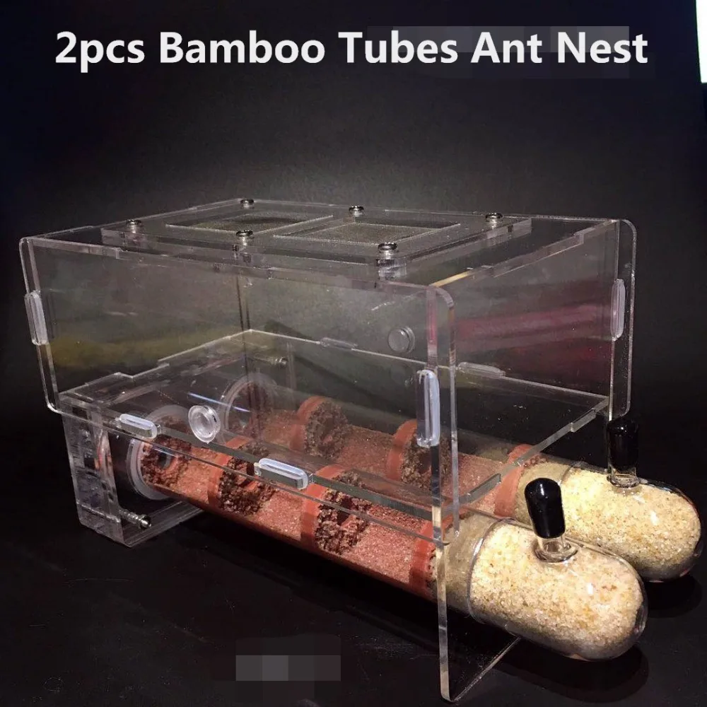 2pcs-Bamboo-Tubes-Ant-Nest-Glass-Tube-Ant-Farm-House-For-Kids-Home-Pet ...