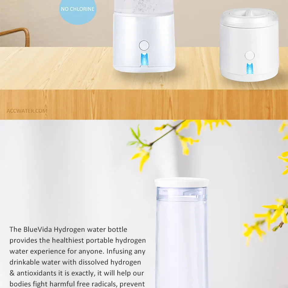 Spe+pem Membrane H2 Rich Hydrogen Water Generator Bottle Remove ...