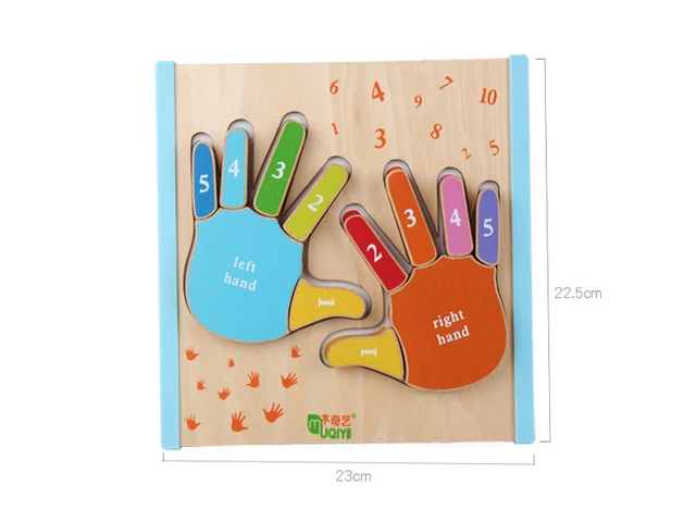 Left Hand Right Hand Preschool