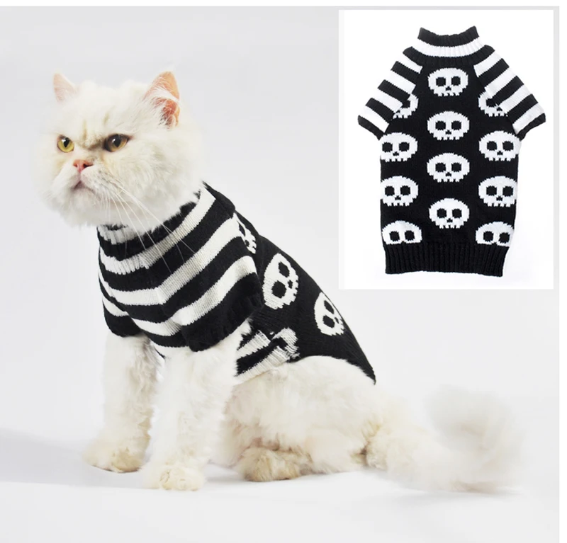 Psychologie Viele gefährliche Situationen Vulgarität katze pullover ...