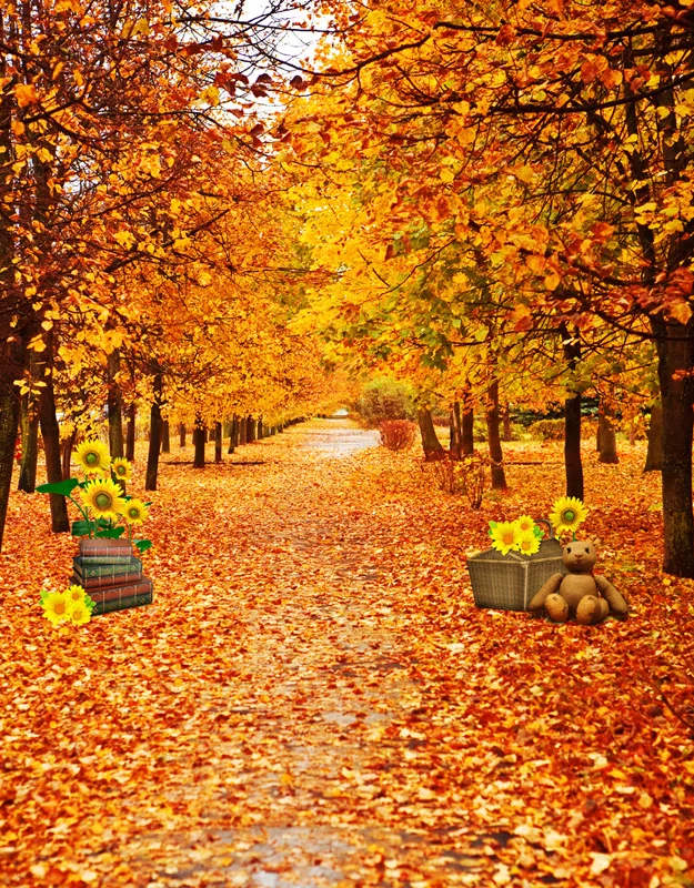 Autumn vinyl cloth forest fall leaves sunflower photography backdrops ...