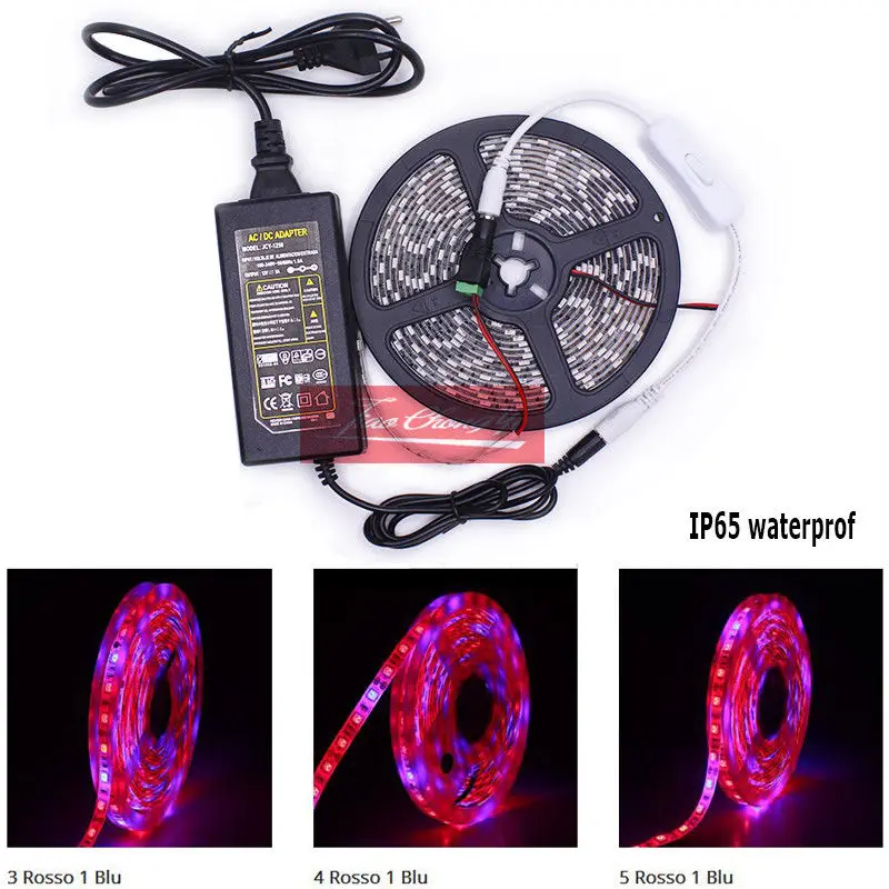 12V 1 5M LED Plant Grow Light Flexible Strip 3 1 4 1 5 1 Red Blue Power ...