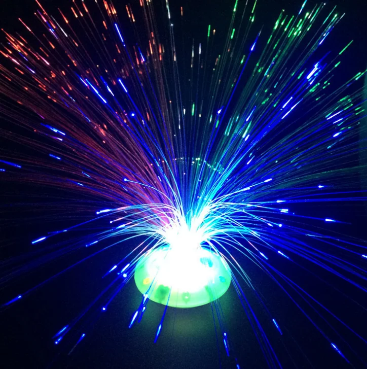 Fiber Optic Pathway Lighting