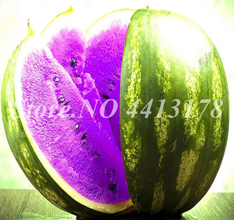 Bonsai Watermelon Planta 100 Pcs Sweet Water Melon Fruit Plant Home ...