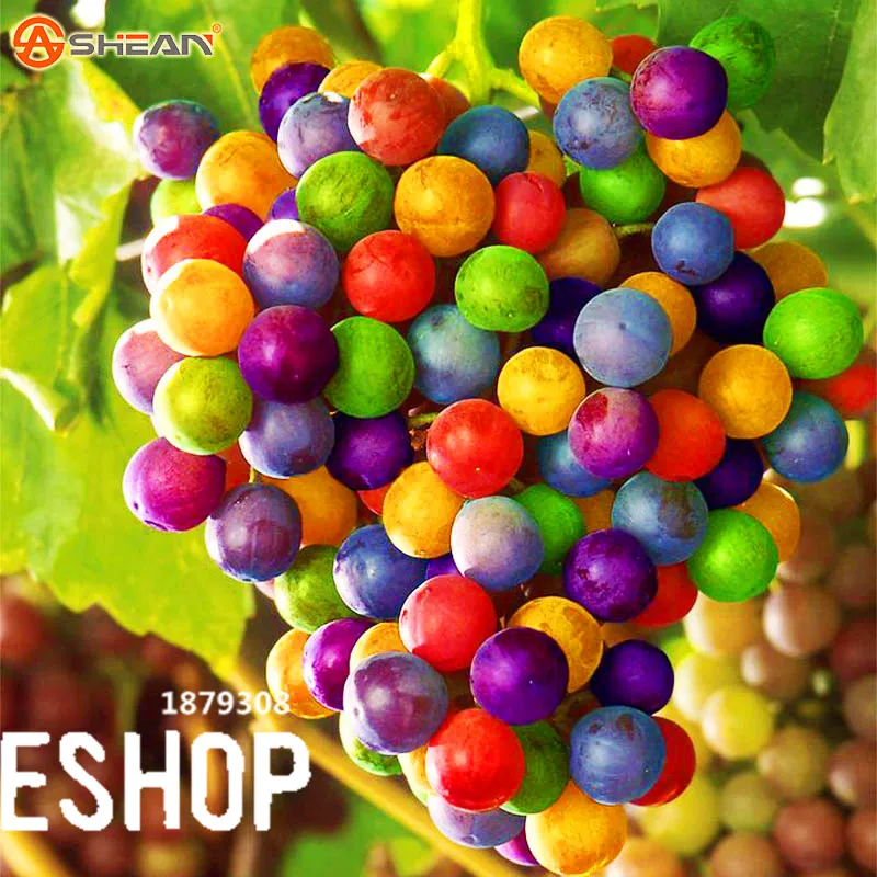 Rainbow Grapes Real