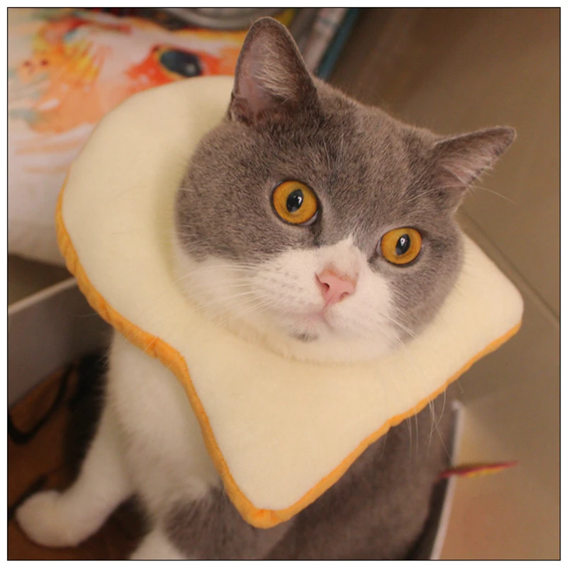 Cat Breading Costume