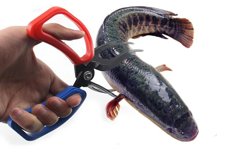 Fish grabber made in usa - keryfocus