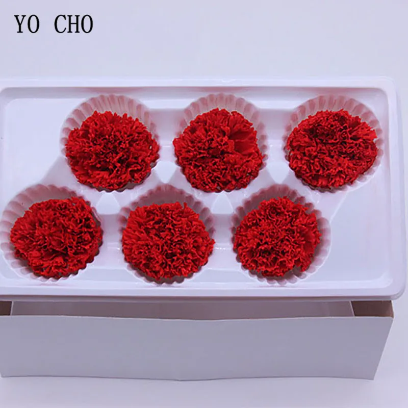 Yo Cho High Quality Dry Natural Fresh Preserved Carnation Flower Beauty ...