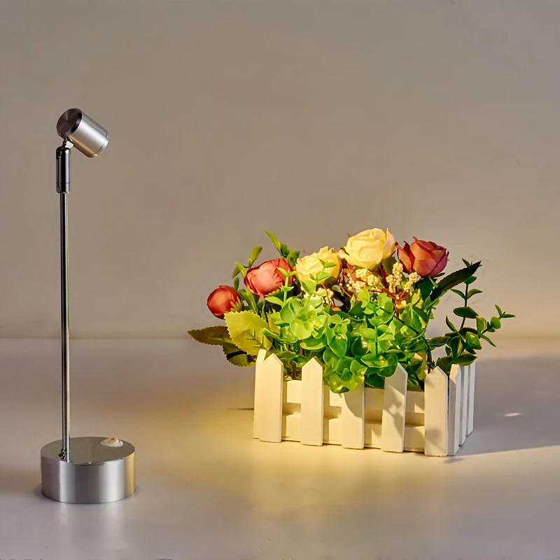 Best 3W LED Picture Light Battery-Powered Pole Lamp Spotlight Button ...