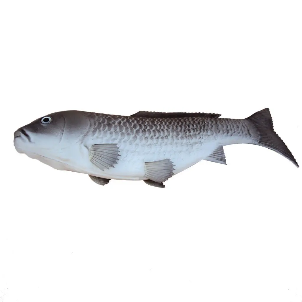 Artificial Realistic Freshwater Carp Imitation Model Toy Pretend Food ...