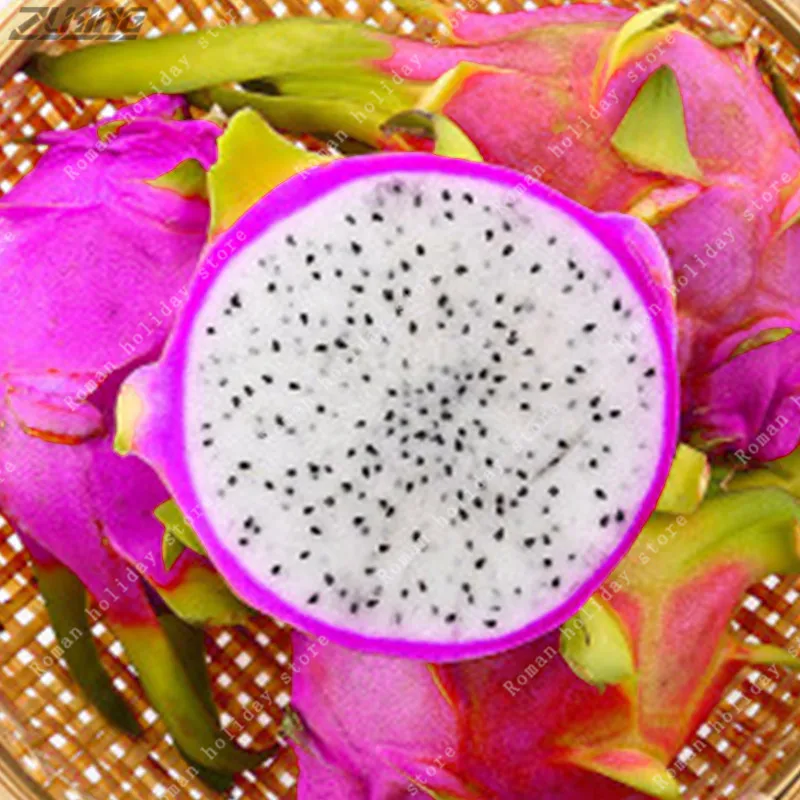 200 Pcs Seeds Rare Mini Pitaya Pink Tropical Dragon Fruit – GreenSeedGarden