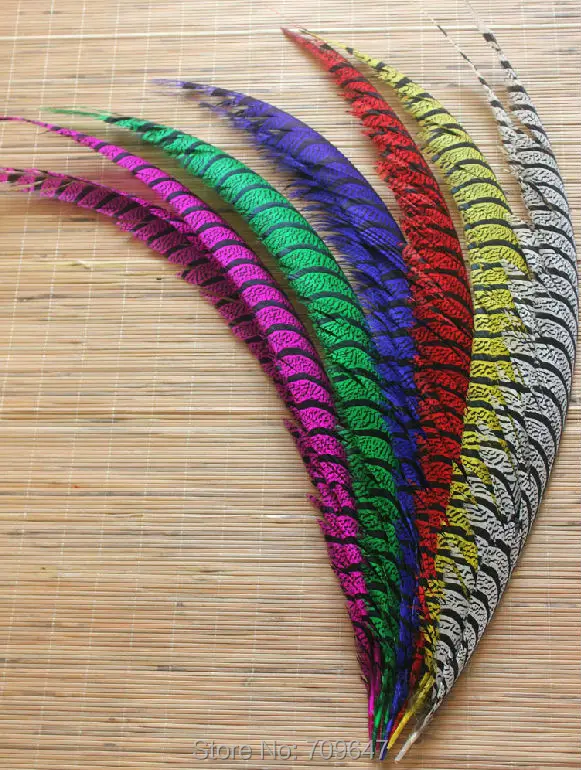 Super Long Feathers!30Pieces 36 40" 90 100cm Colourful Lady Amherst ...